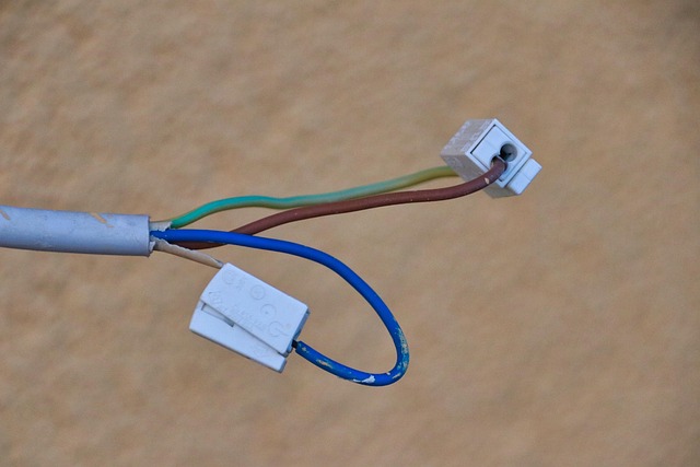 Power Cable Electricity Electro - Free photo on Pixabay - Pixabay