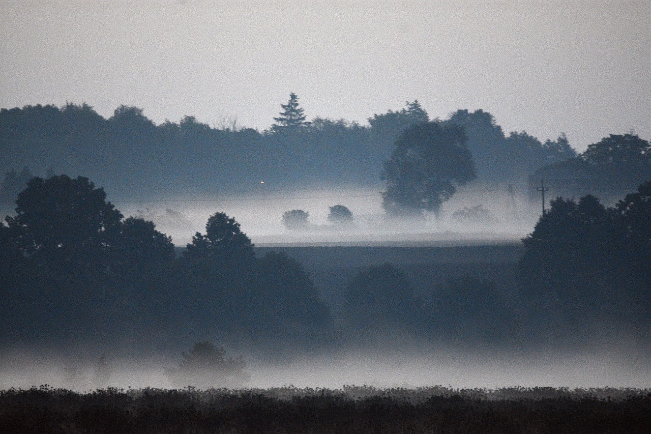 Morning The Fog Landscape - Free photo on Pixabay - Pixabay