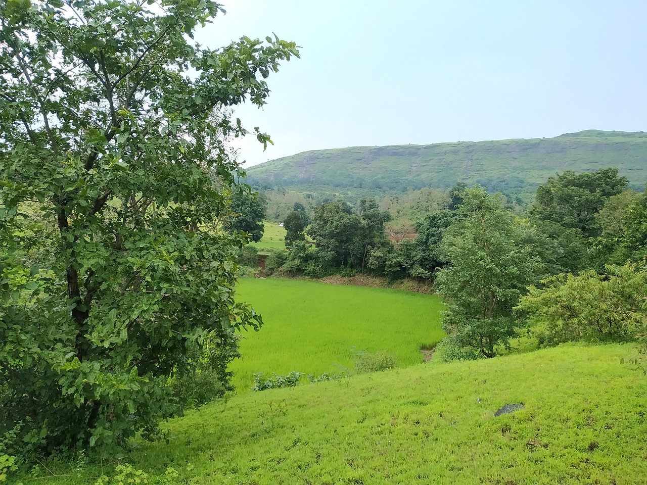 Nature Hills Of Nashik - Free photo on Pixabay