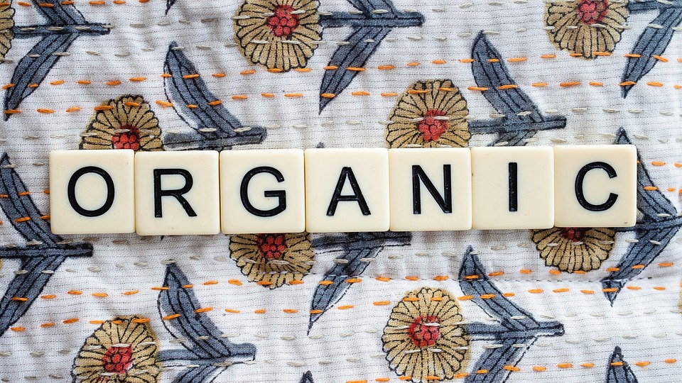Organic Healthy Harvest - Free photo on Pixabay