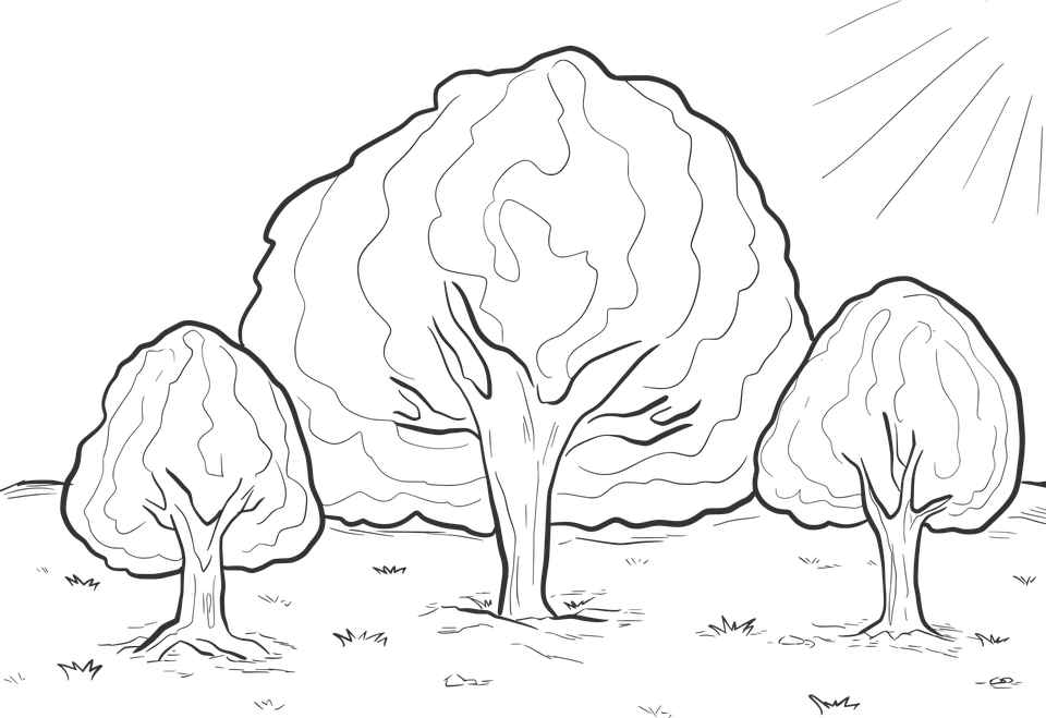 Pohon Matahari Injil - Gambar vektor gratis di Pixabay - Pixabay