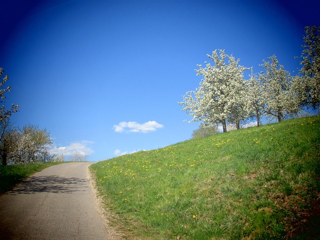 Weg Straße - Kostenloses Foto auf Pixabay - Pixabay