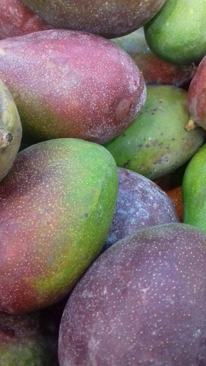Manga Fruta Verde - Foto gratuita no Pixabay - Pixabay