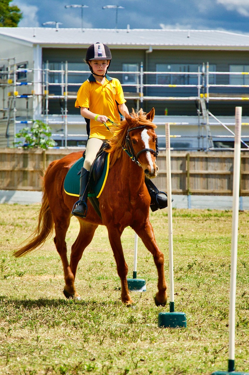 Reiter Junger Reiten Pferd - Kostenloses Foto auf Pixabay - Pixabay