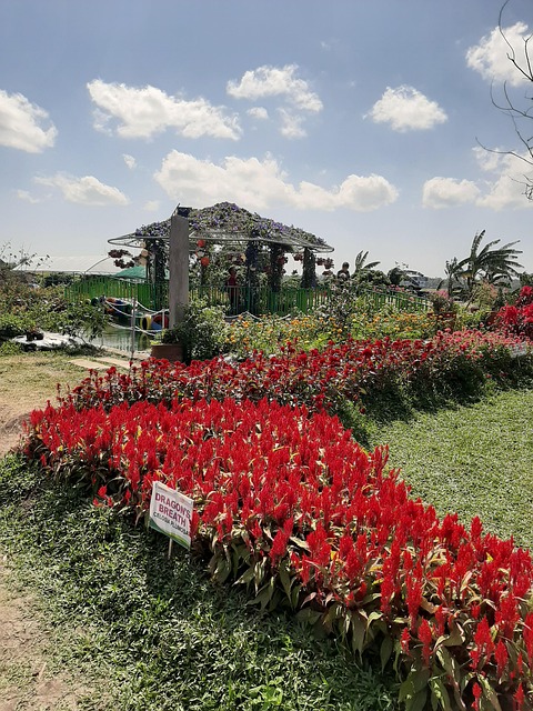 Flower Farm Flowers Landscape - Free photo on Pixabay