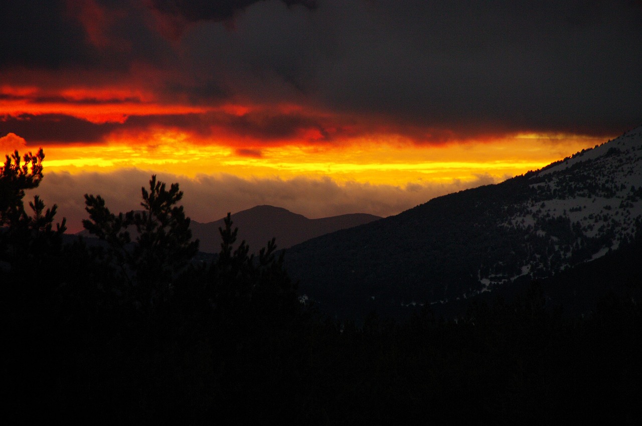 Atardecer Fuego Bosque - Foto gratis en Pixabay - Pixabay