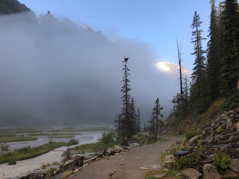 Fog Trail Path - Free photo on Pixabay - Pixabay