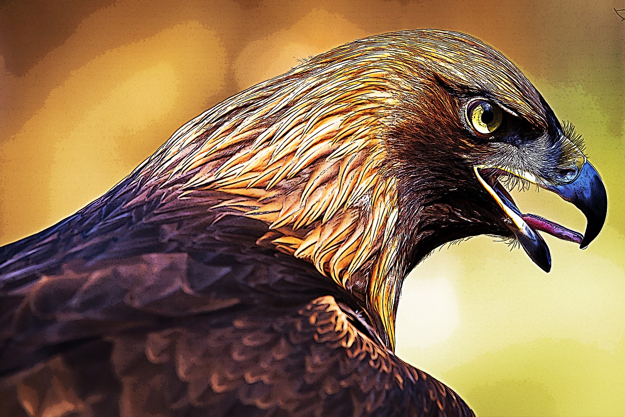 Download Eagle, Adler, Bird Of Prey. Royalty-Free Stock Illustration ...