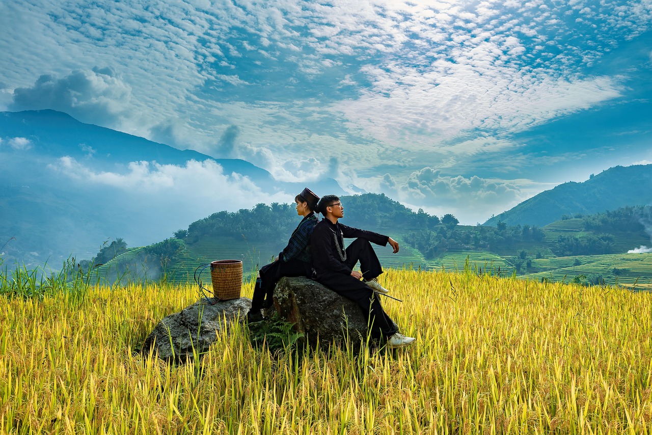 Landscape Rice Couple - Free photo on Pixabay - Pixabay