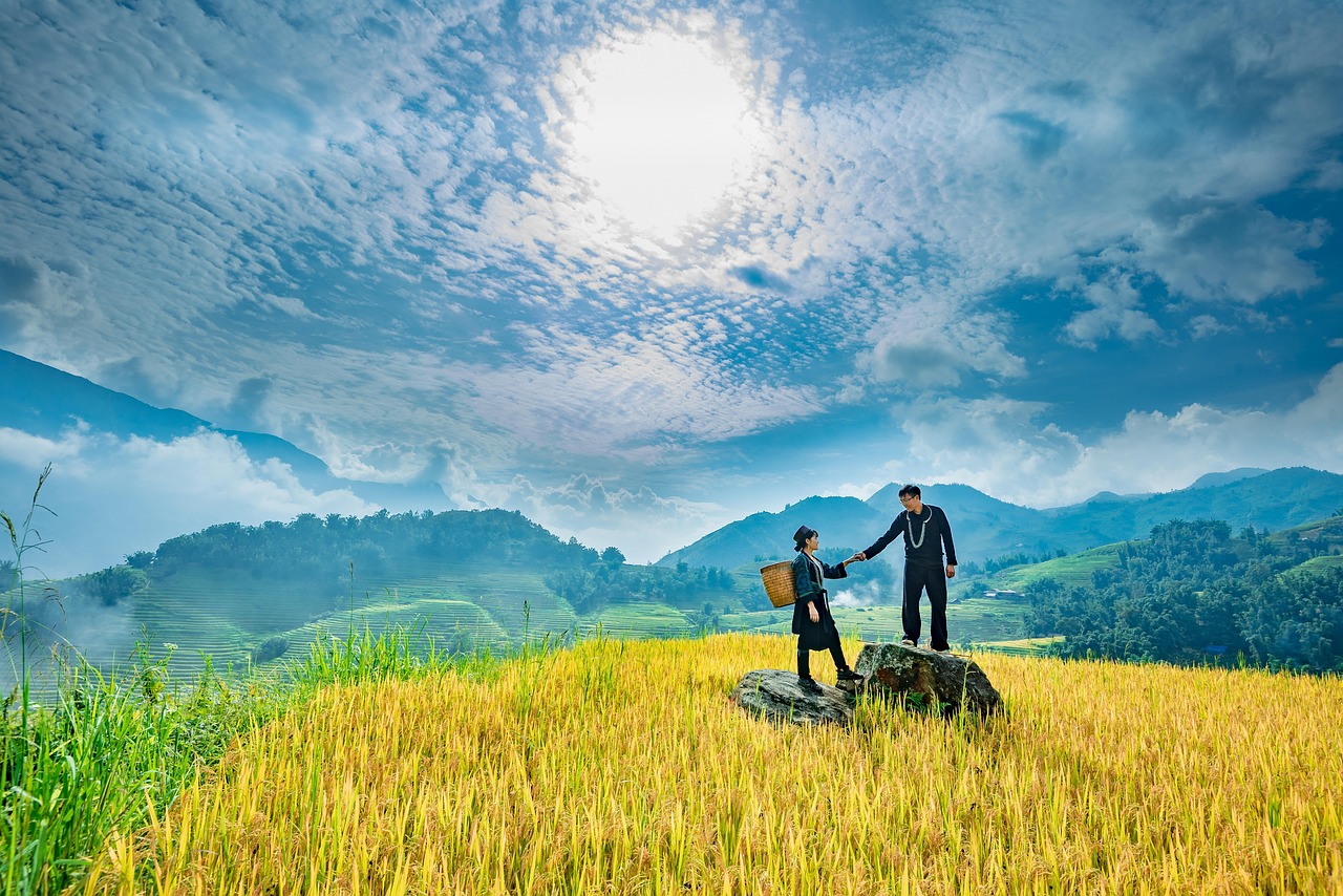 Landscape Rice Couple - Free photo on Pixabay - Pixabay