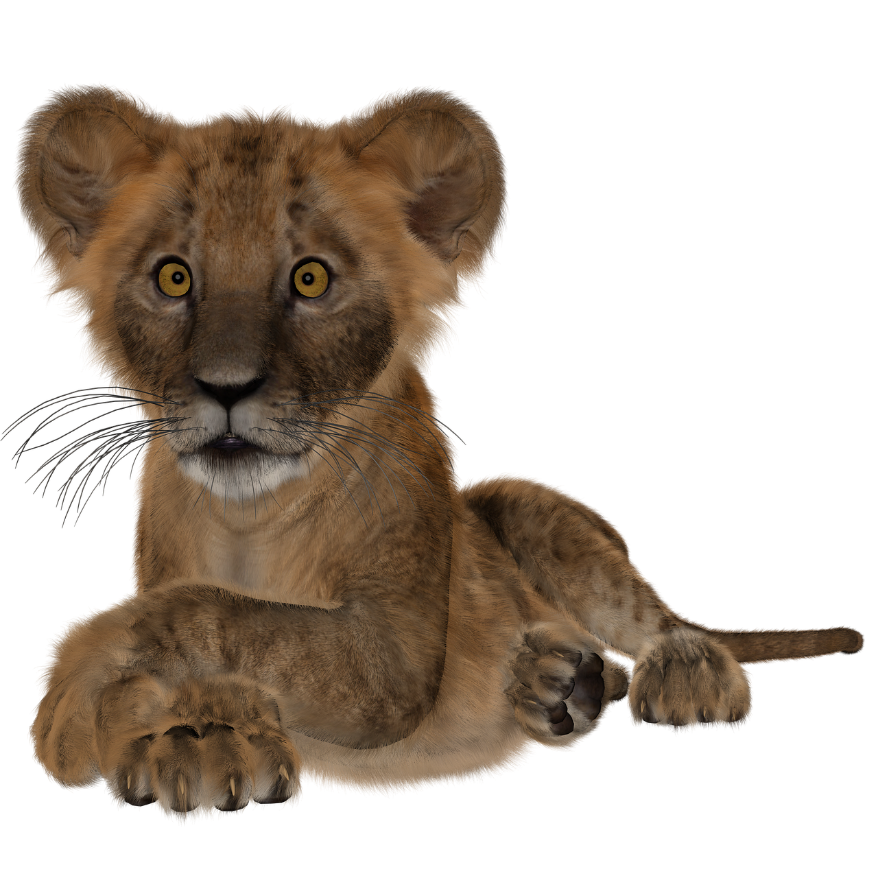 Lion Cub Animal Young - Free image on Pixabay