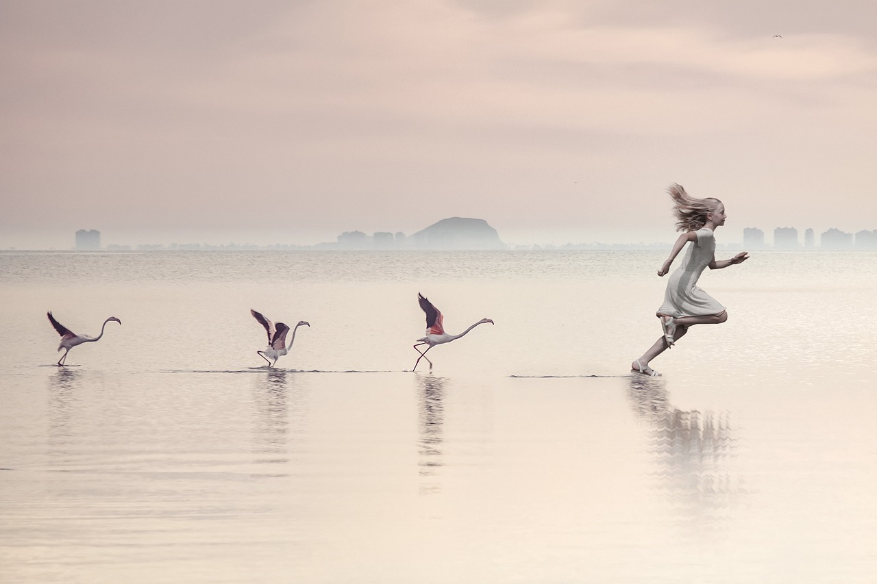 Girl Birds Lake - Free photo on Pixabay - Pixabay