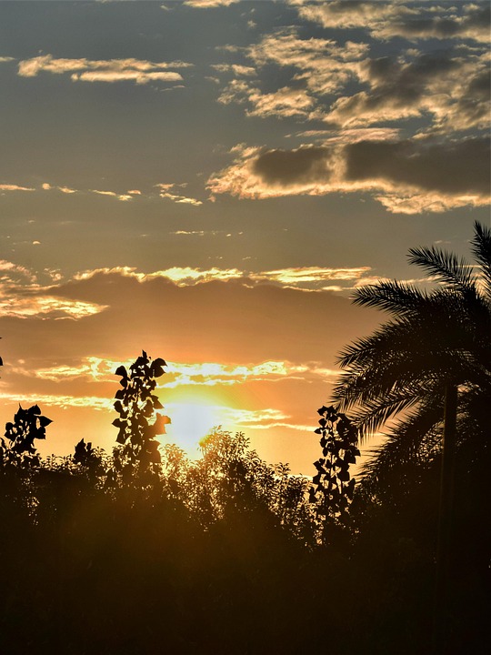 Sky Noon Sun - Free photo on Pixabay - Pixabay