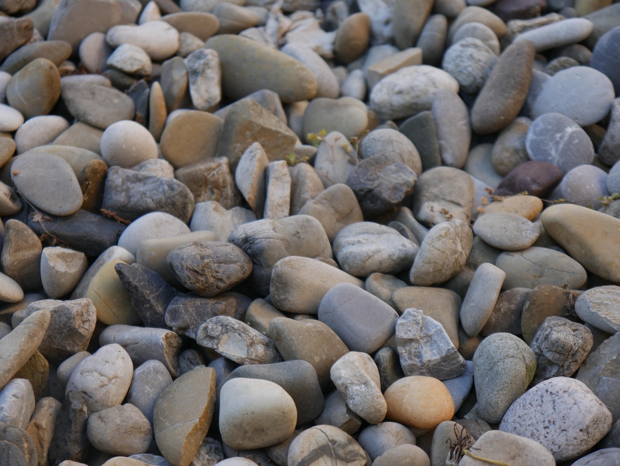 Guijarro Piedras Guijarros - Foto gratis en Pixabay - Pixabay