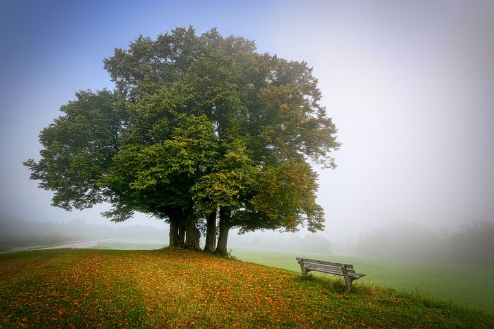 10,000+ Free Hills & Nature Images