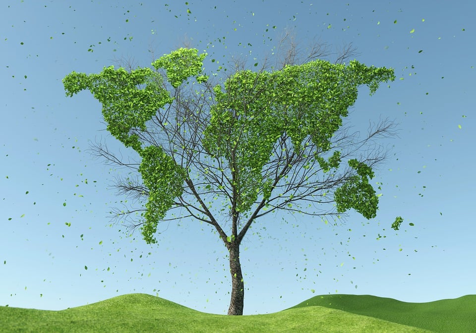 Download Tree, World Map, Sustainability. Royalty-Free Stock ...