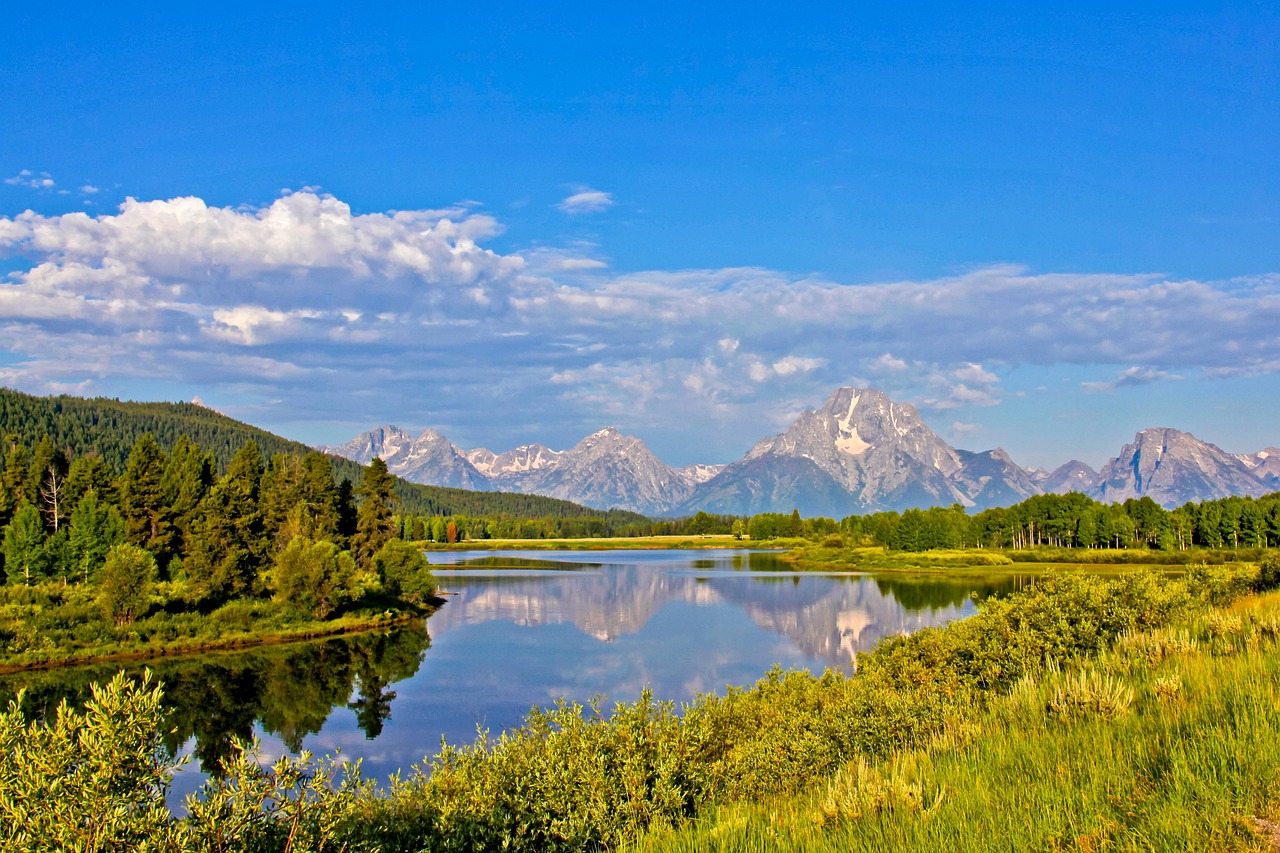 Lake Meadow Nature - Free photo on Pixabay