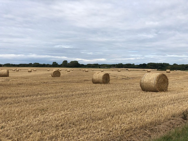 Hay Bails Heu Bauernhof - Kostenloses Foto auf Pixabay - Pixabay