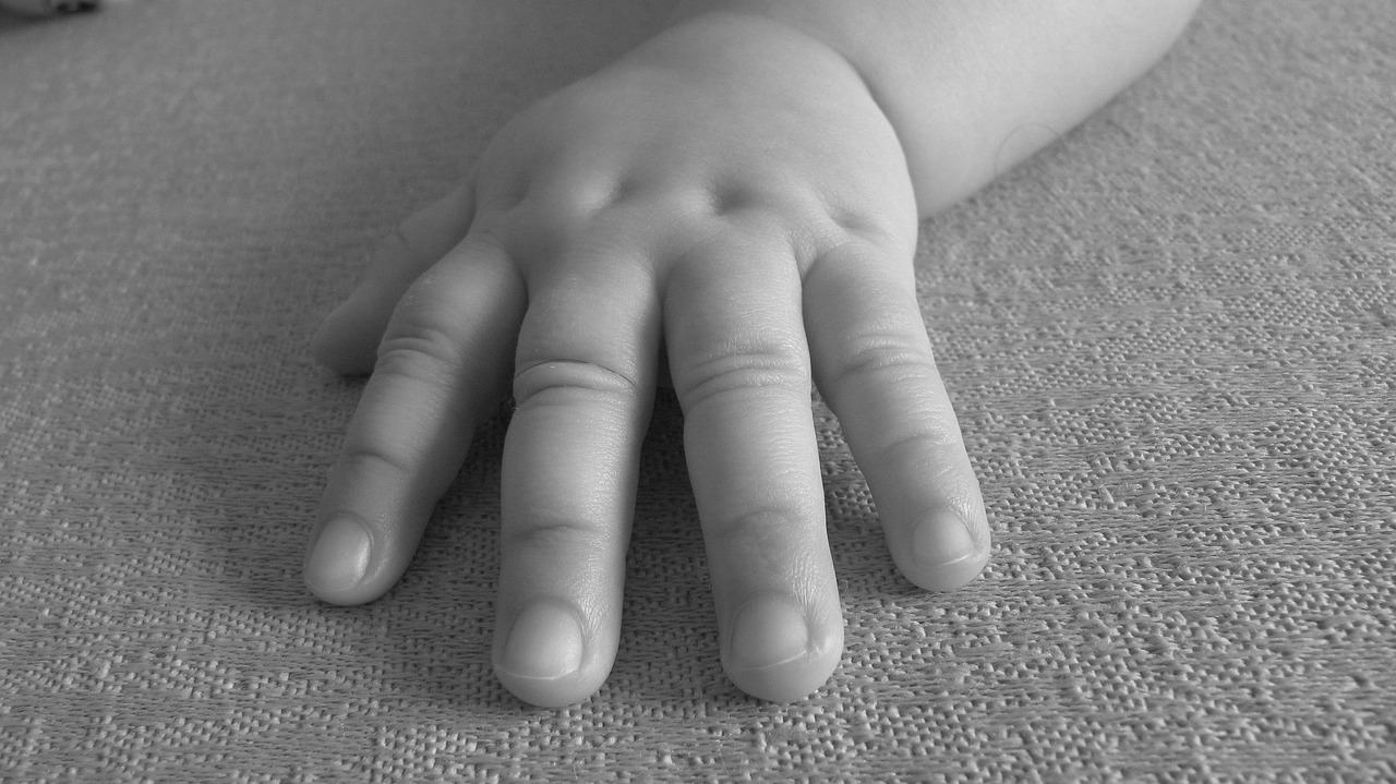 P B Hands Hand - Free photo on Pixabay - Pixabay