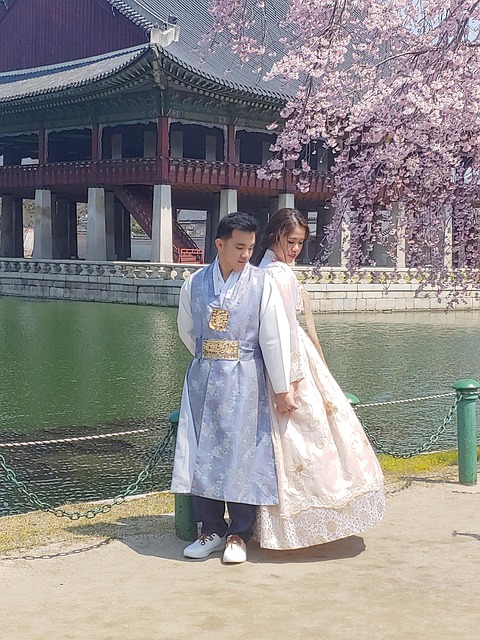 Palace Gyeongbok Han Bok - Free photo on Pixabay - Pixabay