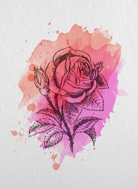 20,000+ Free Roses Aesthetic & Rose Images - Pixabay