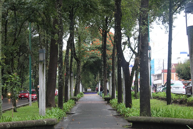 Parque México Tarde - Foto gratuita no Pixabay - Pixabay