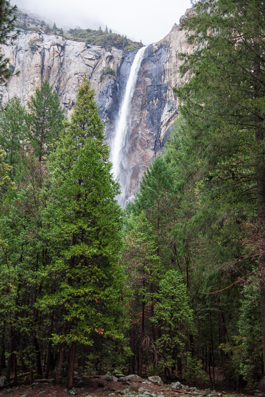 Yosemite Cascade À Feuilles - Photo gratuite sur Pixabay - Pixabay