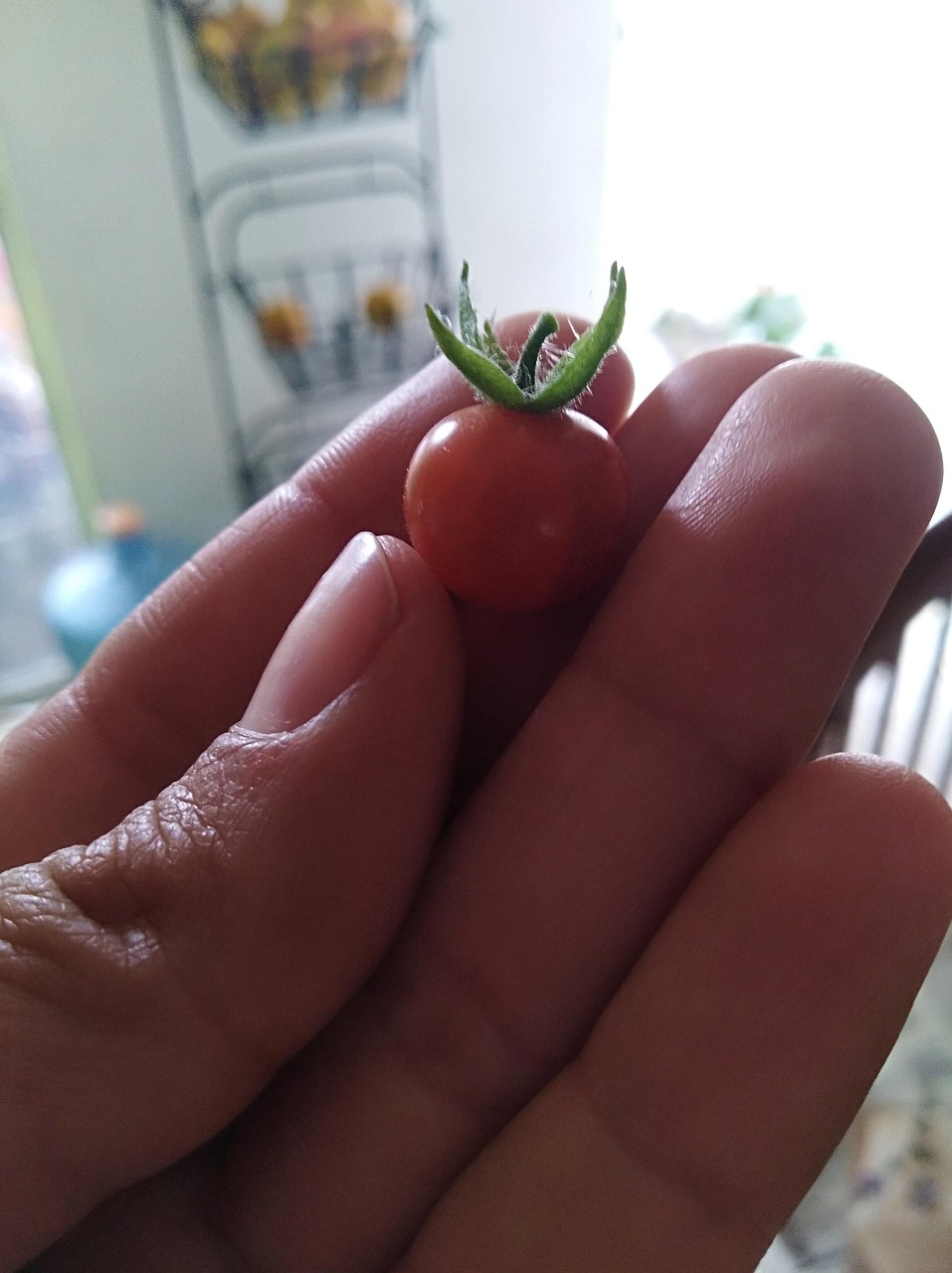 Tomato Baby Food - Free photo on Pixabay - Pixabay