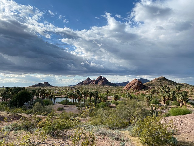 Arizona Désert Oasis - Photo gratuite sur Pixabay - Pixabay