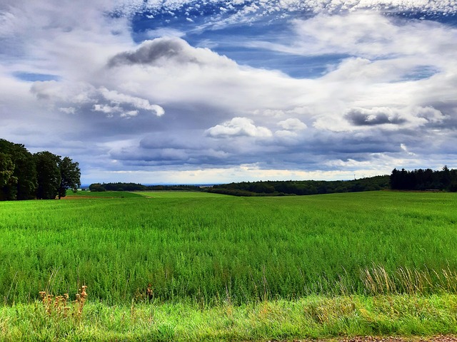 Paradis Des Nuages Eifel - Photo gratuite sur Pixabay - Pixabay