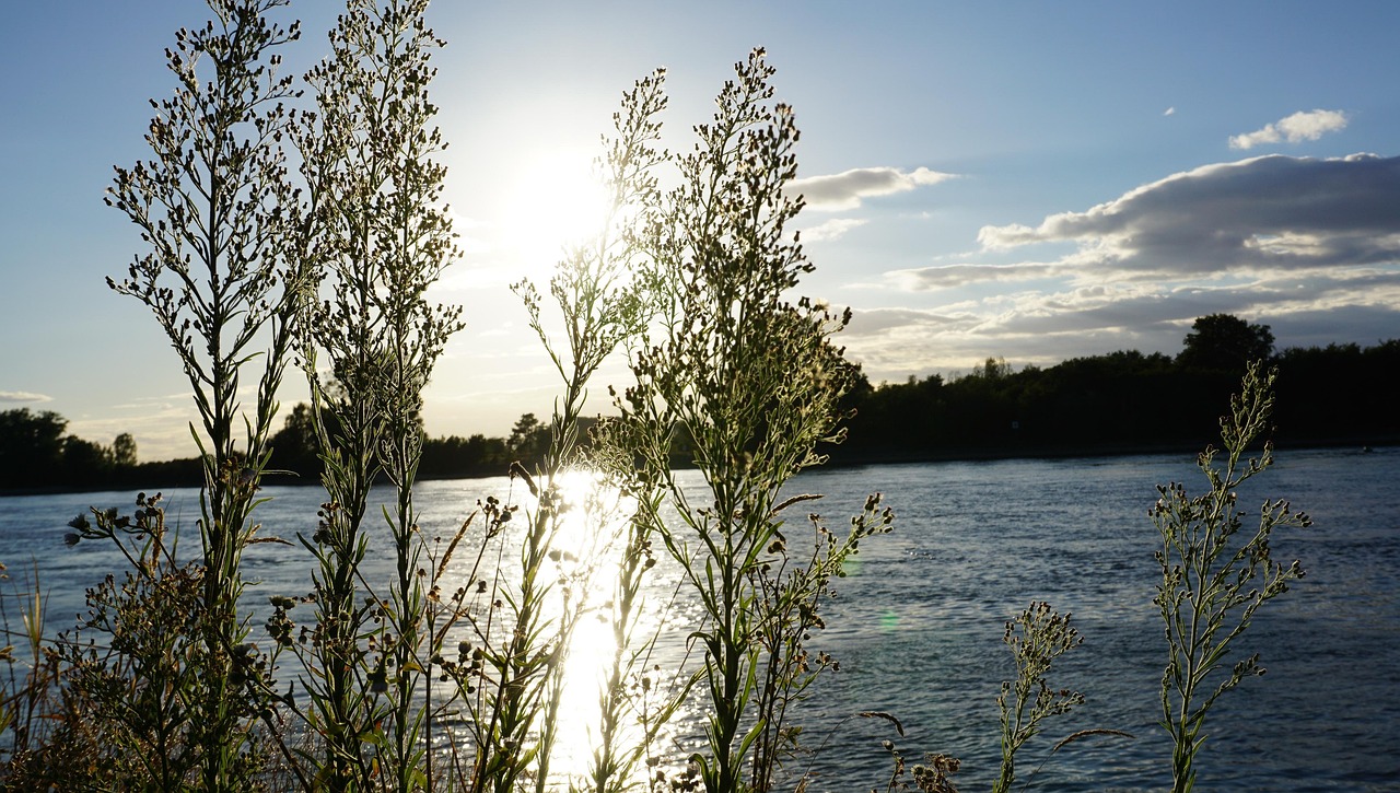 Couler Lumière Du Soleil Bord De - Photo gratuite sur Pixabay - Pixabay