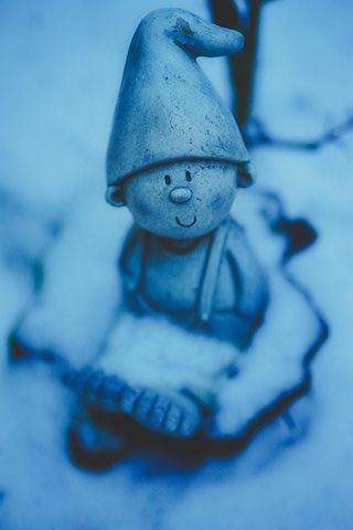 600+ Free Gnomes & Dwarf Images - Pixabay