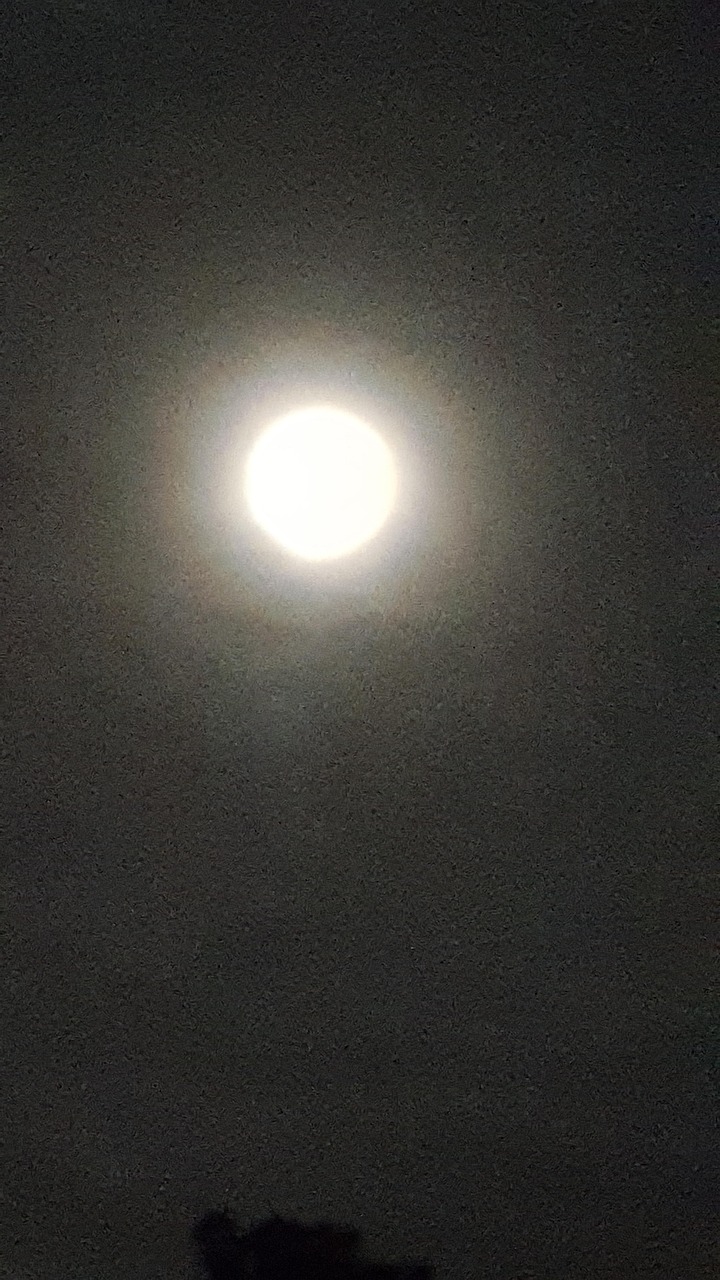 Moon Dog Halo - Free photo on Pixabay - Pixabay