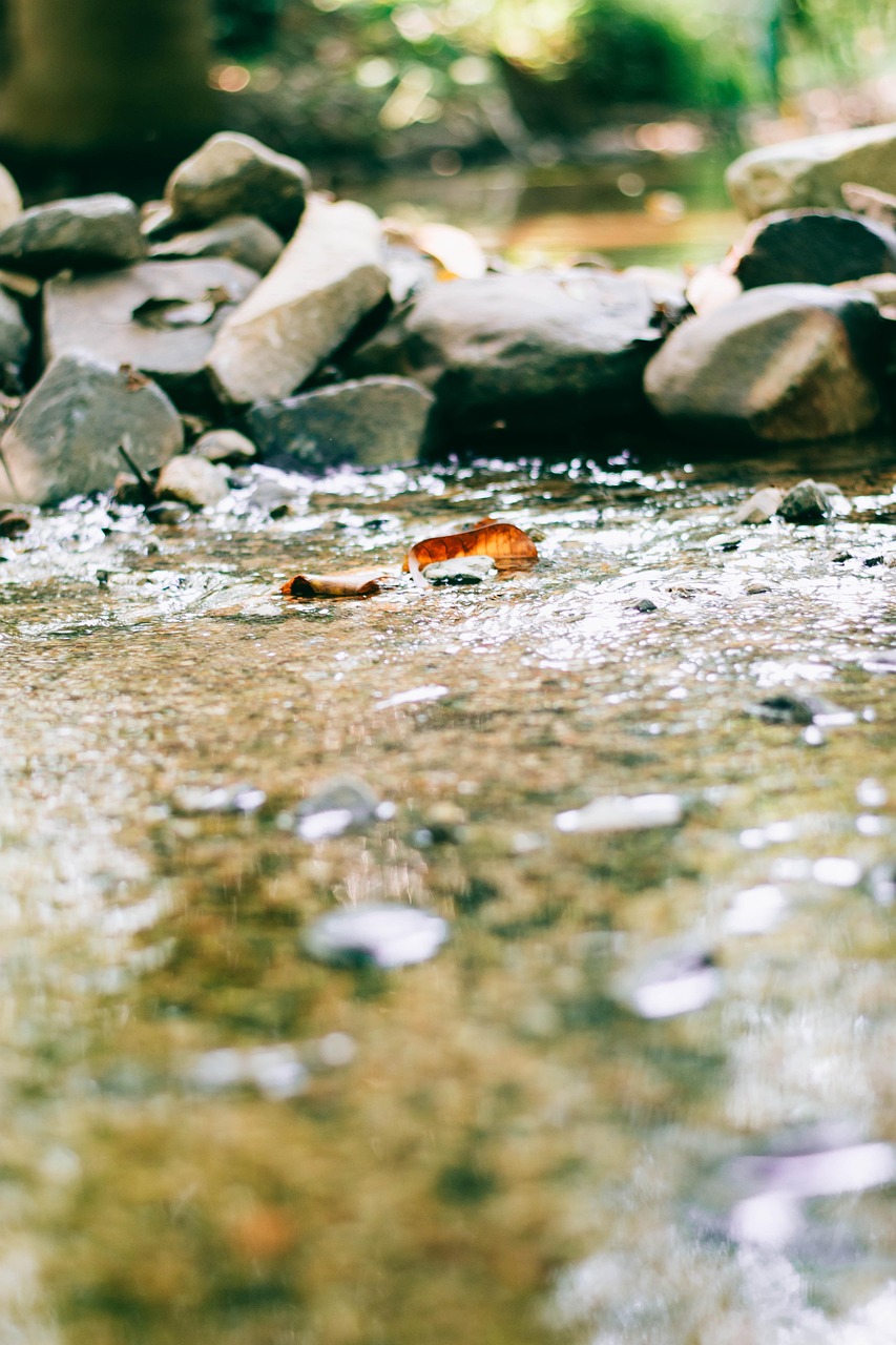 River Stream Creek - Free photo on Pixabay - Pixabay River Stream Creek - Free photo on Pixabay - Pixabay