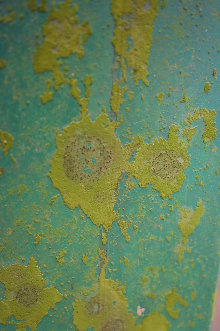 Mousse Sur Surface Métallique - Photo gratuite sur Pixabay - Pixabay