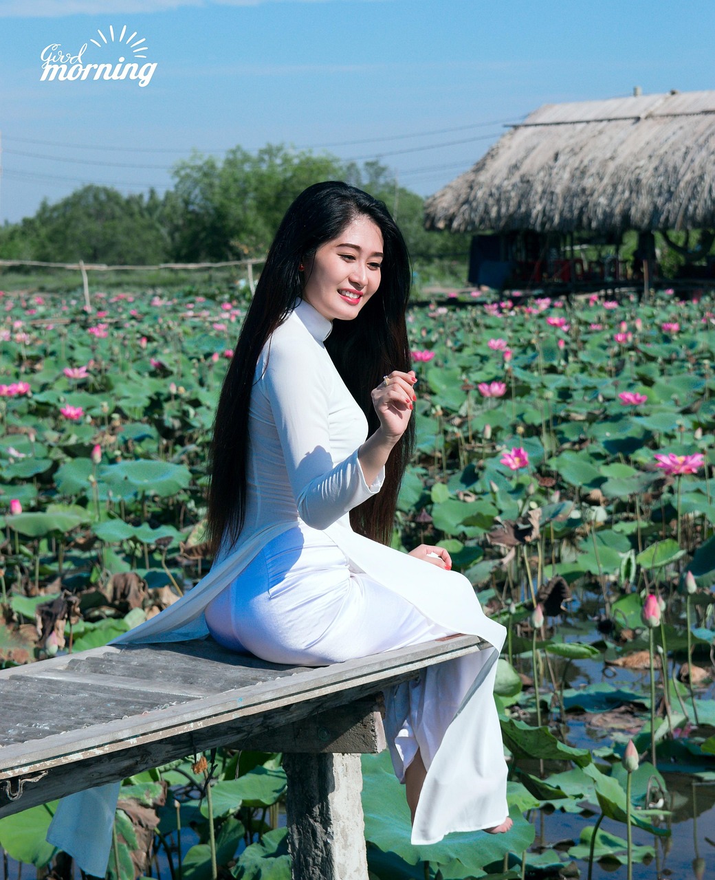 Teratai Ao Dai Foto Gratis Di Pixabay 5950