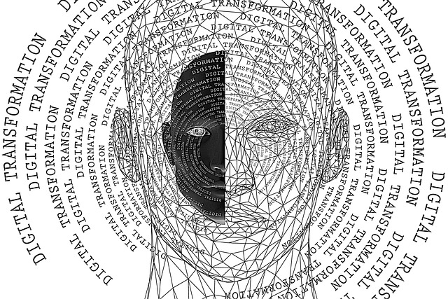 20,000+ Free Personal Transformation & Transformation Images - Pixabay