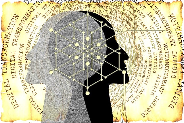 10,000+ Free Personal Transformation & Transformation Images - Pixabay