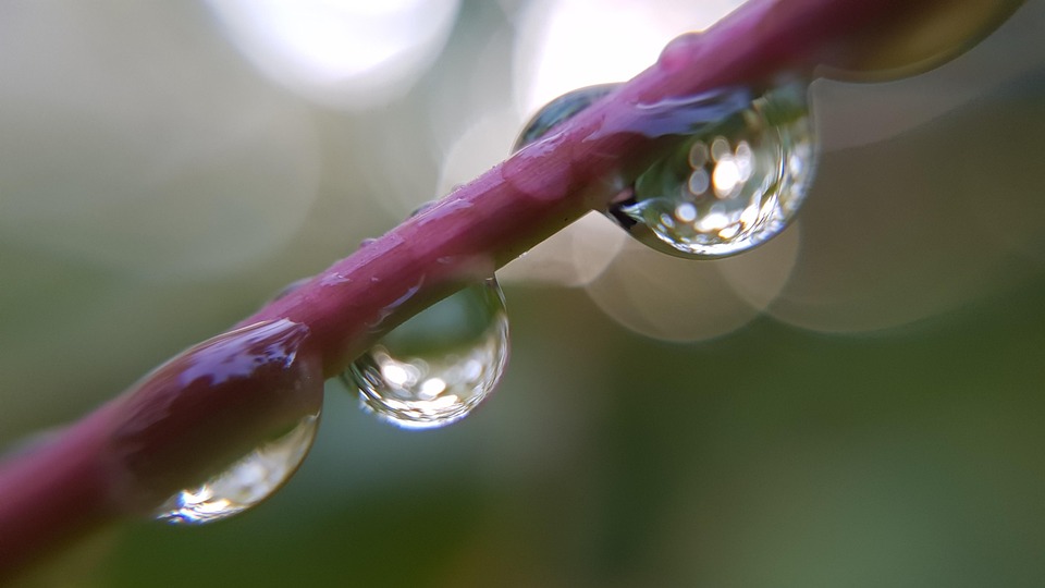 Waterdrop Water Drops - Free photo on Pixabay - Pixabay