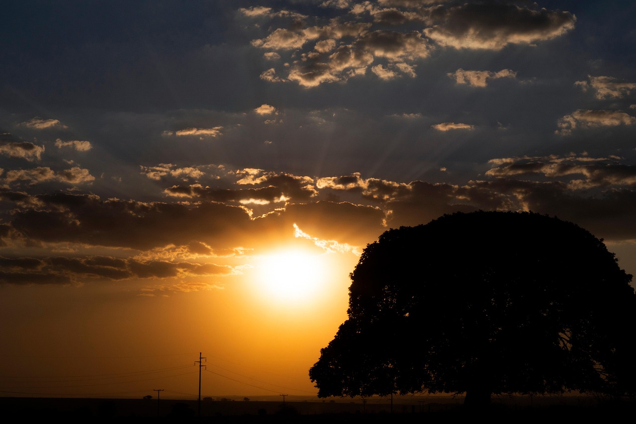 Soleil Nature Le Coucher Du - Photo gratuite sur Pixabay - Pixabay