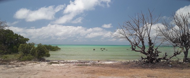 Pantai Nusa Kabaru Rindi - Ilmainen valokuva Pixabayssa - Pixabay