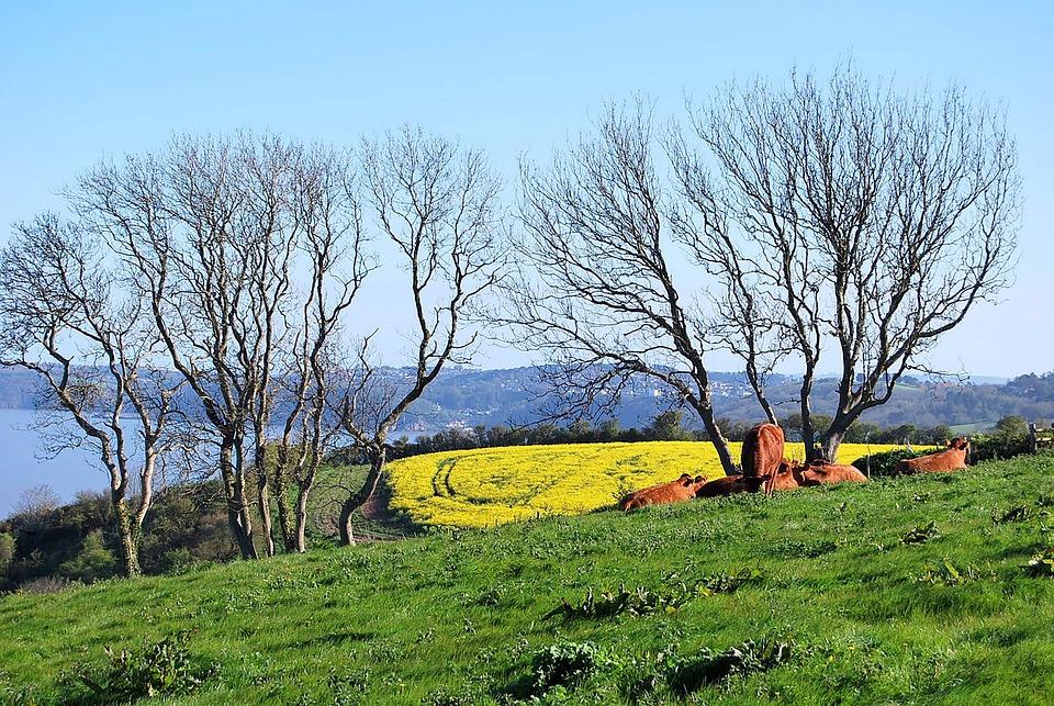 England Landschaft Natur - Kostenloses Foto auf Pixabay - Pixabay