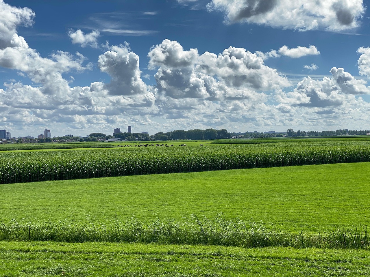 Nederlandse Luchten Wolken - Foto gratis en Pixabay - Pixabay