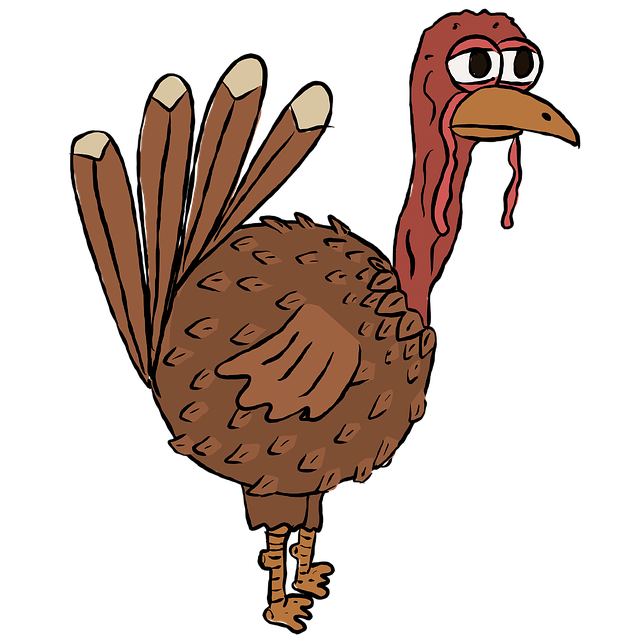 Turkey Bird Animal - Free image on Pixabay