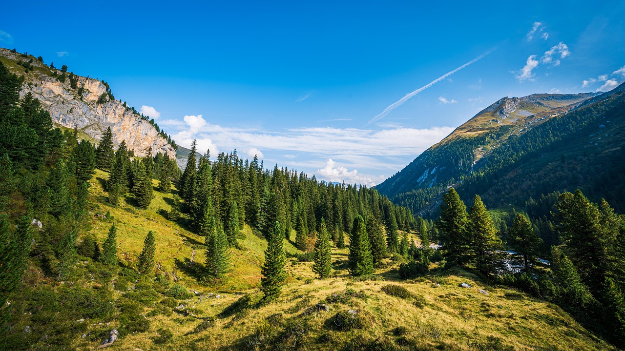 Pegunungan Hutan Pohon - Foto gratis di Pixabay