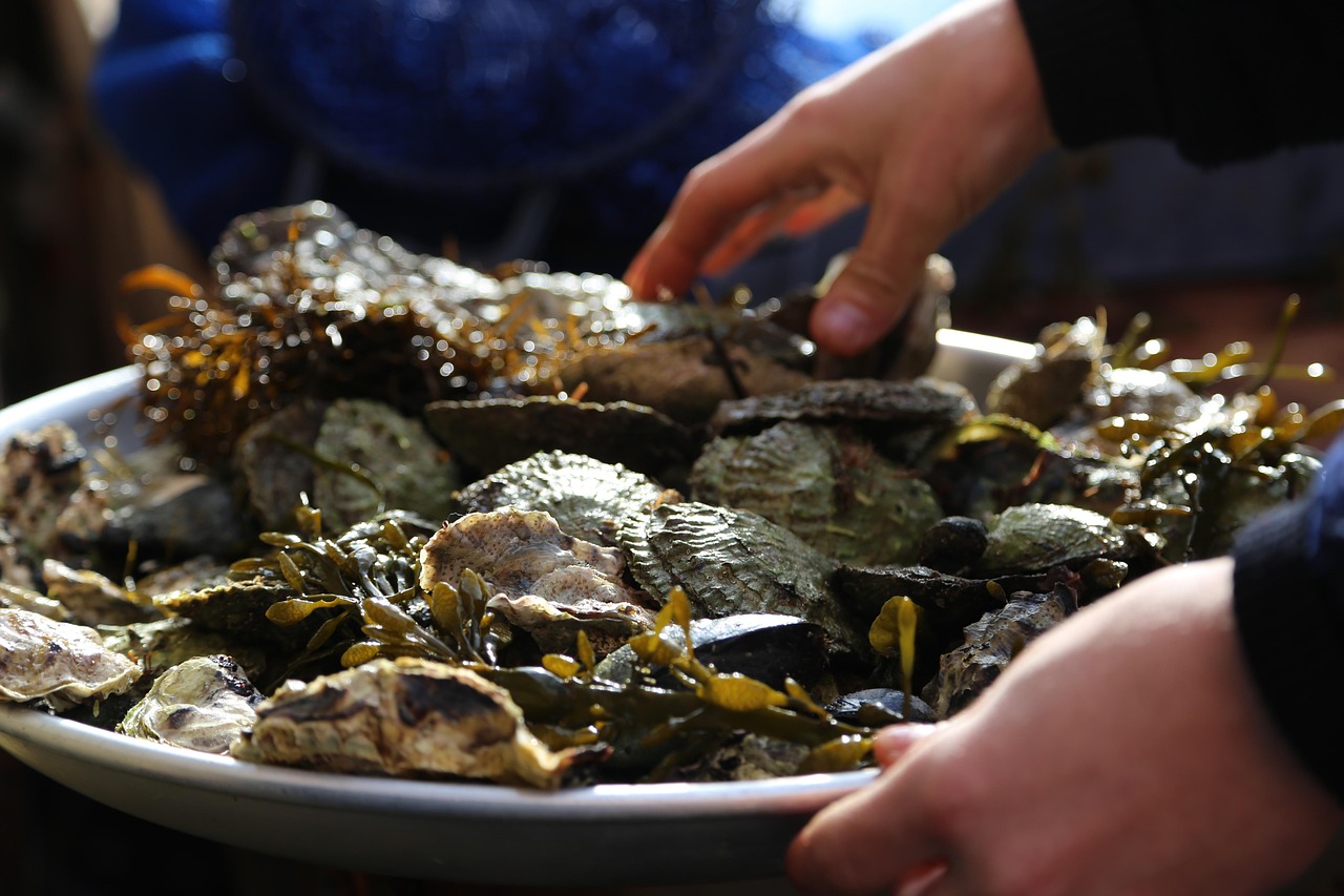 Oyster Huitre Sea - Free photo on Pixabay - Pixabay