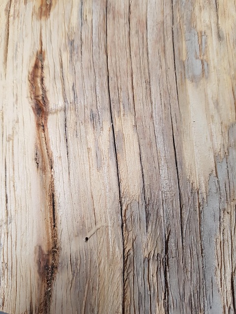 Wood Texture Pattern - Free photo on Pixabay - Pixabay