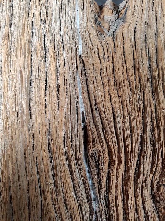 Wood Texture Pattern - Free photo on Pixabay - Pixabay