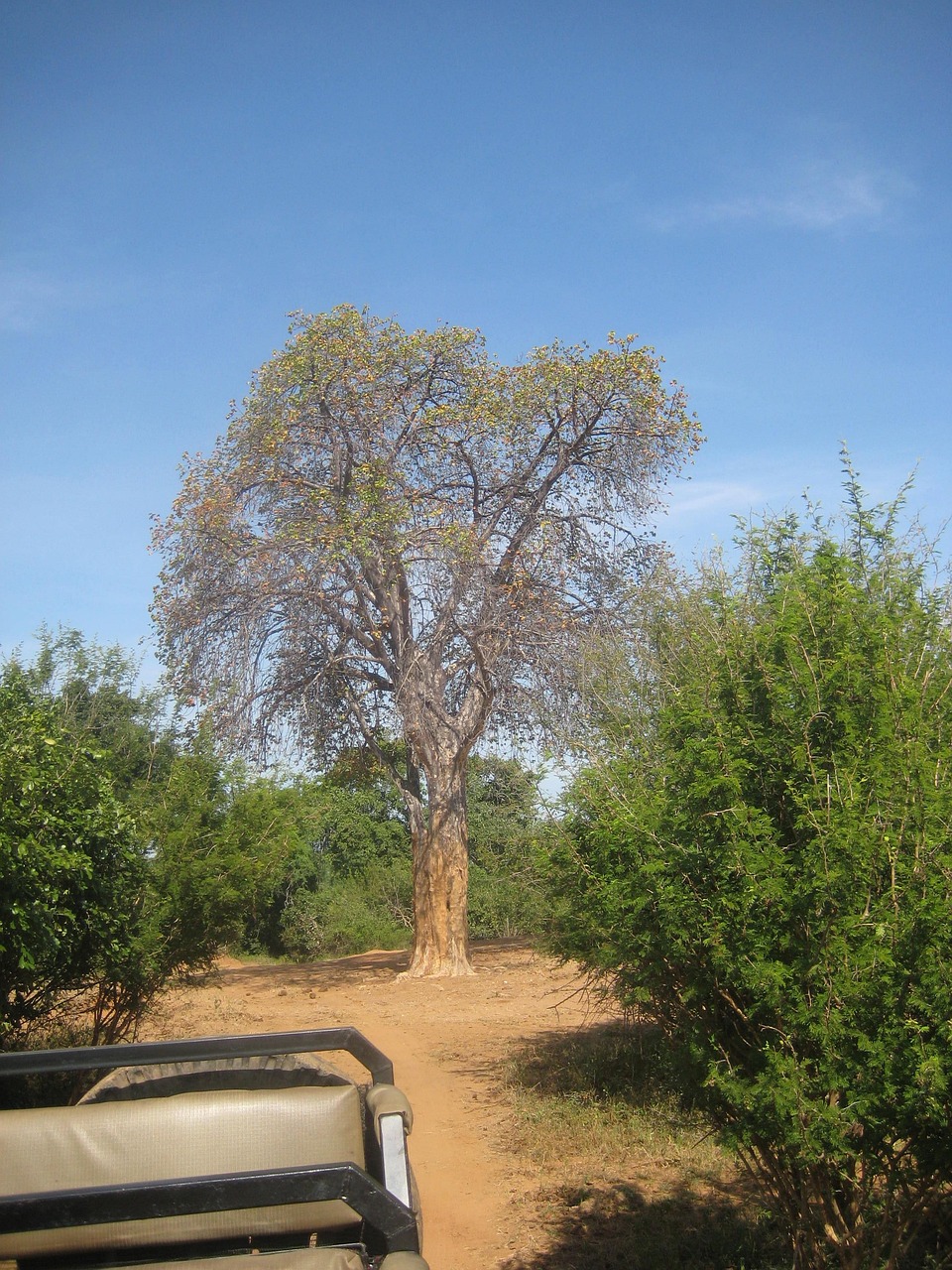Afrika Sambia - Kostenloses Foto auf Pixabay - Pixabay