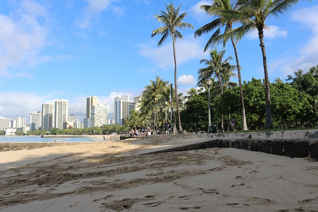 Havaí Praia - Foto gratuita no Pixabay - Pixabay